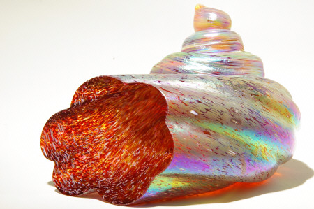 Art Glass Shell Paperweights from Kela's...a glass gallery on Kauai