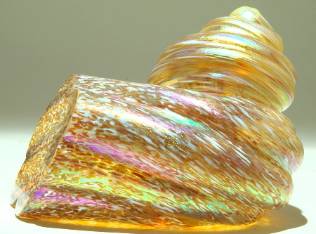 Art Glass Shell Paperweights from Kela's...a glass gallery on Kauai