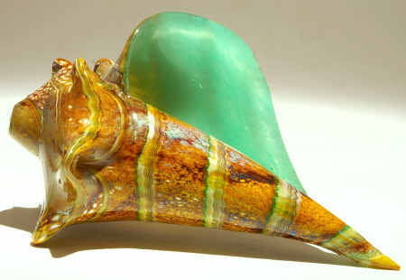 Art Glass Shells from Kela's...an art glass gallery on Kauai