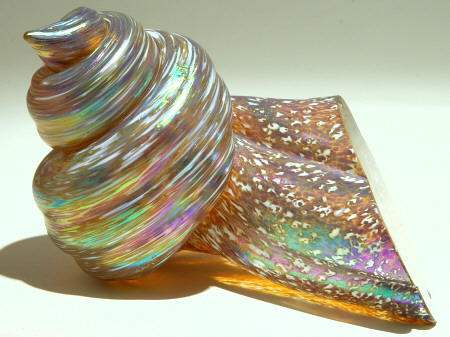 Art Glass Shell Paperweights from Kela's...a glass gallery on Kauai