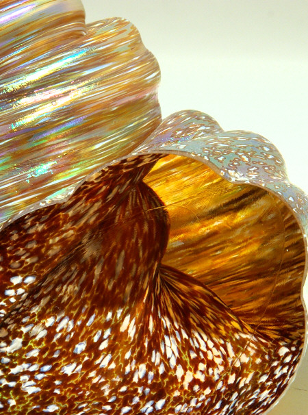Art Glass Shell Paperweights from Kela's...a glass gallery on Kauai