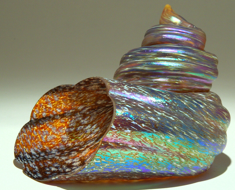 Art Glass Shell Paperweights from Kela's...a glass gallery on Kauai