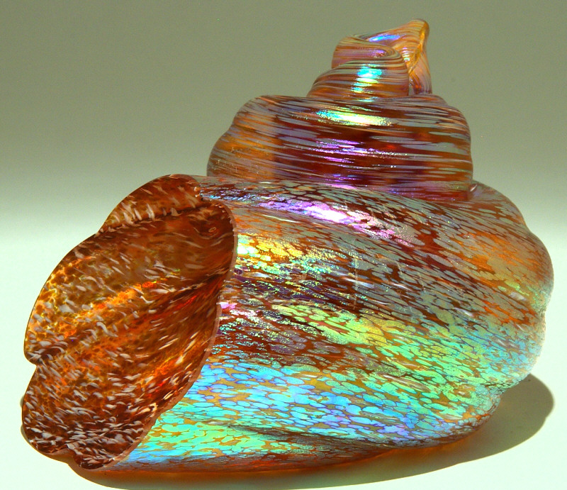Art Glass Shell Paperweights from Kela's...a glass gallery on Kauai