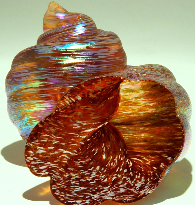 Art Glass Shell Paperweights from Kela's...a glass gallery on Kauai