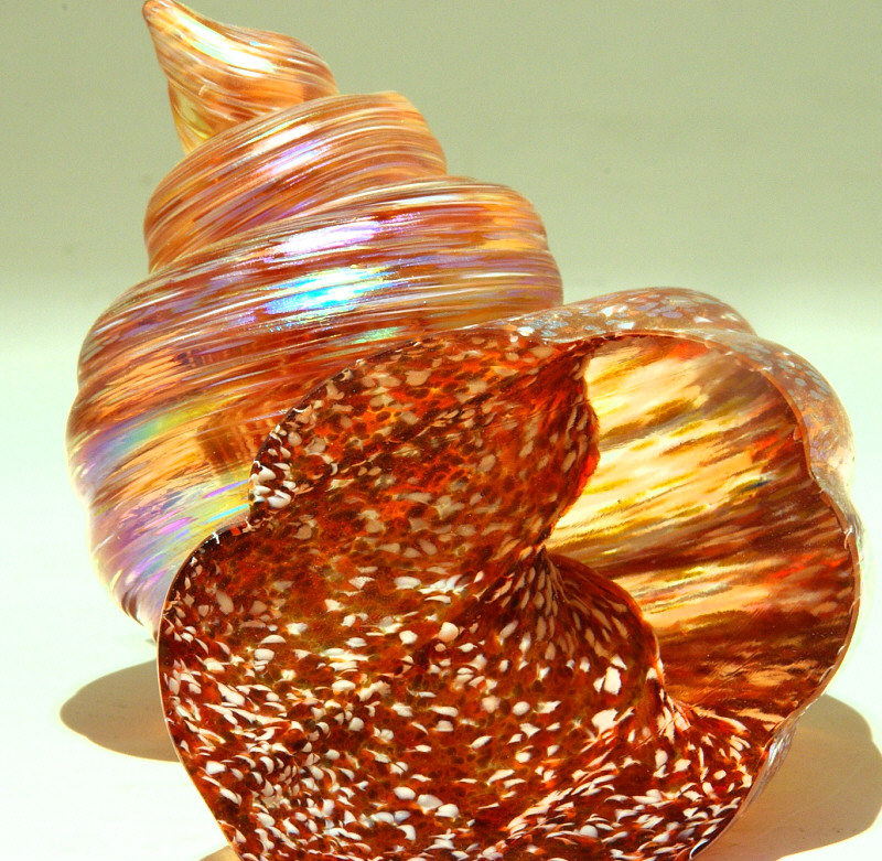 Art Glass Shell Paperweights from Kela's...a glass gallery on Kauaii