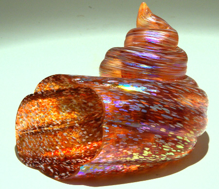 Art Glass Shell Paperweights from Kela's...a glass gallery on Kauai