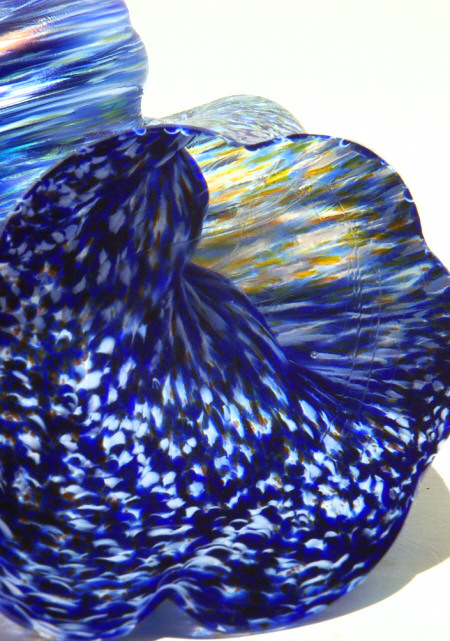 Art Glass Shell Paperweights from Kela's...a glass gallery on Kauai